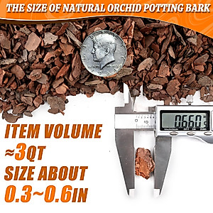 AVALUTION Orchid Potting Bark-3QT Organic Orchid Bark for Plants, All Natural Pine Bark Wood Chips Orchid Bark Potting Mix for Houseplant Mulch, Help Orchid Plants Root Health Development