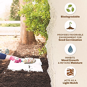 BloomingBulb Seed Mat - Easy to Plant and Grow Garden Seeds - Creates Fragrant, Vibrant Flower Garden – Customizable Flower Beds- English Cottage Garden Mat Green 17''x5''