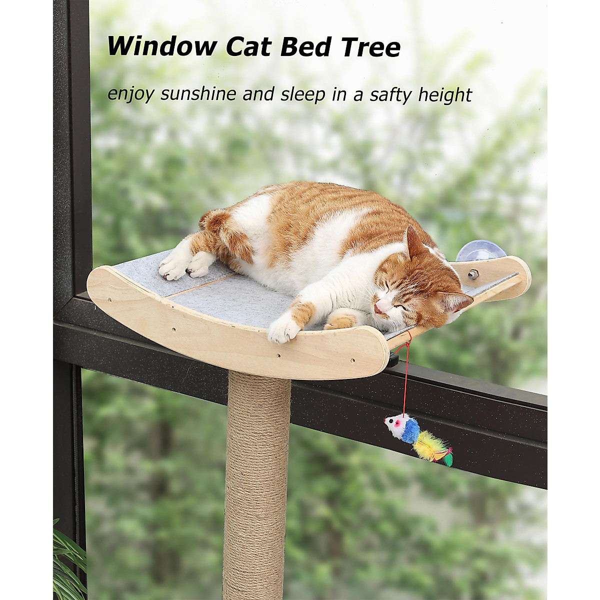 Window Cat Perch with Scratching Posts, 46" Wood Tree Bed for Large Inside Cats Climbing, Perching and Lounging, Mounted with 3 Strong Suction Cups (Wood Platform)