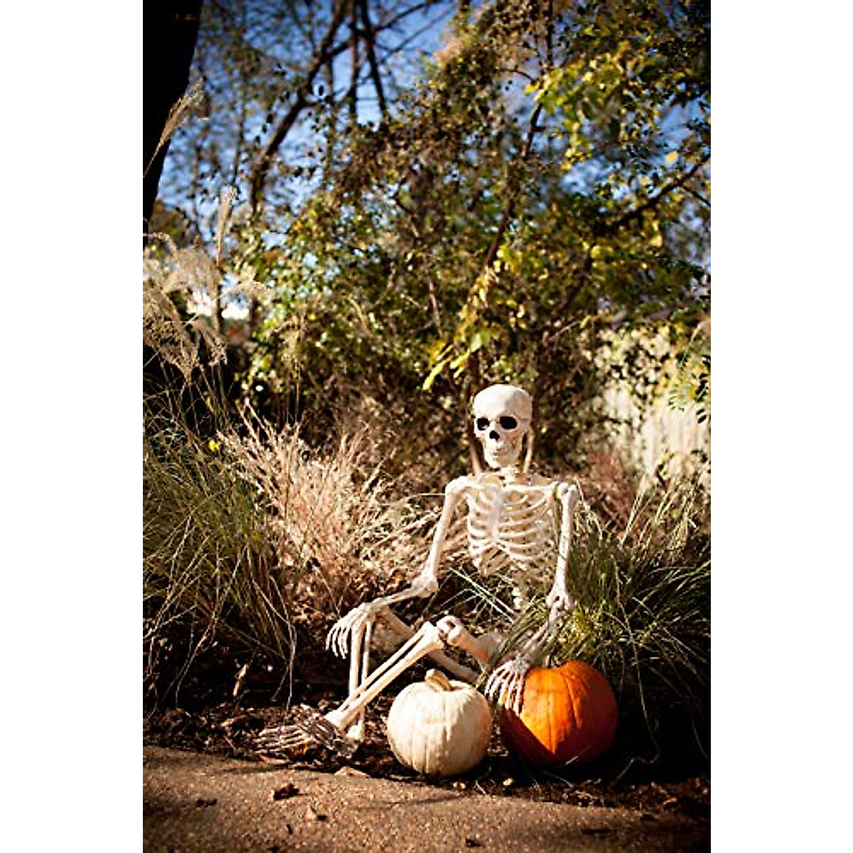 Crazy Bonez Pose-N-Stay Skeleton