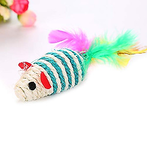 Smokey's Stash Catnip Spray with Catnip Easter Bunny, Carrot, and Sisal Rope Mouse cat Toys for Cats (Bundle)