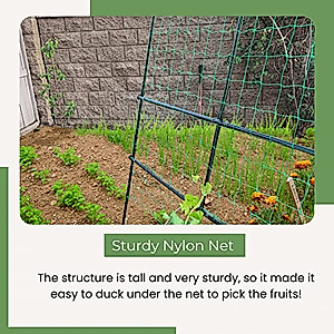 Ambikun Garden Trellis 82in Extra Tall Polyethylene-Coated Stainless Steel Trellis for Climbing Plants Outdoor Garden Climbing Arch | Garden Supplies with Mounting Clips and Nylon Net
