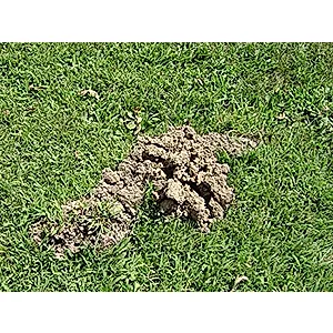 Tomcat Mole & Gopher Bait, Pelleted Poison Bait, 6 oz.