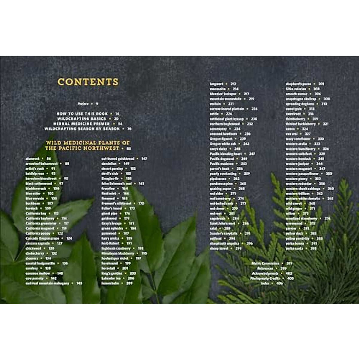 Pacific Northwest Medicinal Plants: Identify, Harvest, and Use 120 Wild Herbs for Health and Wellness (Medicinal Plants Series)