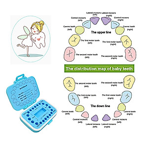 Baby Tooth Fairy Keepsake Box Kids Teeth Storage Box Tooth Holder Organizer with a Tweezers Kids Gift for Baby Shower Christmas Birthday Keep The Childhood Memory(Blue)