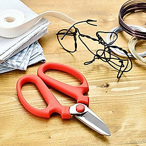 Sakagen Multi Purposse Floralcraft Scissors with Wire Cut Function
