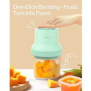 HEYVALUE Baby Food Maker, 13-in-1 Baby Food Puree Blender for Baby Food, Fruit, Vegatable, Meat, with Food Containers, Baby Food Processor Freezer Tray, Silicone Spoons, Silicone Spatula(Light Green)