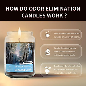 HOME & RELAX 23oz Odor Eliminating Candle,10% High Almond Fragrances, Smoke Odor Eliminating Candle,Pet Odor Eliminating,Odor Eliminator for Home,Up to 120 Hours Burn time, Soy Blend,Yellow