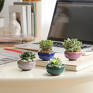 T4U 2.5 Inch Small Ceramic Succulent Planter Pot with Drainage Hole Set of 12, Ice Crack Glaze Porcelain Handicraft Plant Container Gift for Mom Sister Aunt Best for Home Office Desk Decoration