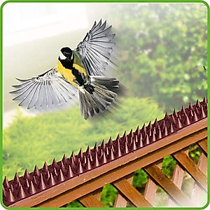 DE-BIRD: Defender Spikes, Cat and Bird Deterrent - Outdoor Pest Defender to Keep Off Pigeon, Squirrel, Woodpecker & More. Plastic Deterrent Anti Theft Climb Strips - 20pk [20 Foot]