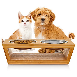 4” Raised Dog Bowls for Small Dogs and Cats. Elevated Dog Bowl Stand by Pawfect Pets. Pet Feeder Comes with Four Stainless Steel Dog Bowls