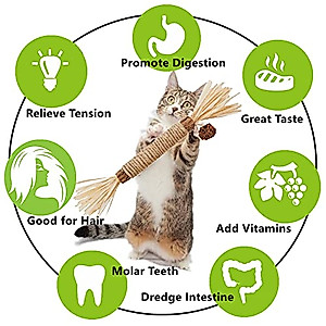Grembeb Cat Toys Silvervine Chew Stick,Kitten Treat Catnip Toy 10Pack Kitty Natural Stuff with Catnip for Cleaning Teeth Indoor Dental Snack Interactive Exercise Hamster Chinchilla Gerbil Rabbit Bunny