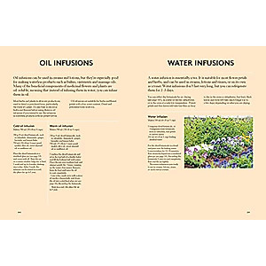 Root to Bloom: A Modern Guide to Whole Plant Use