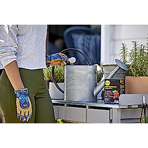 Miracle-Gro Performance Organics Edibles Plant Nutrition - Organic Plant Food Feeds Instantly, for Tomatoes, Vegetables, Herbs and Fruits, Promotes a Bountiful Harvest, 1 lb.