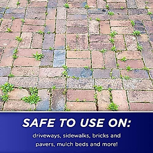 Green Gobbler 20% Vinegar Weed & Grass Killer | Natural & Organic | Concentrated | 1 Gallon Spray | Glyphosate Free Herbicide