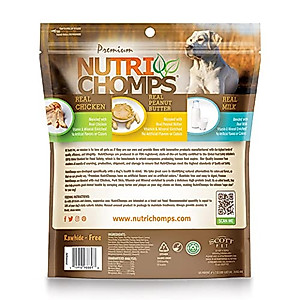 NutriChomps Dog Chews, 6-inch Braids, Easy to Digest, Rawhide-Free Dog Treats, Healthy, 10 Count, Real Chicken, Peanut Butter and Milk flavors