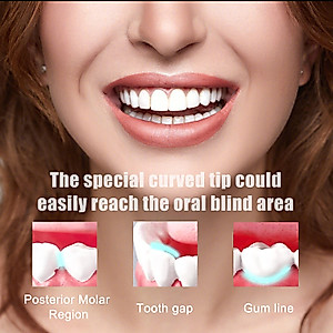 BTFO Sonic Electric Toothbrush with 5 Modes, 2pcs Replacement Brush Heads USB Rechargeable Smart Electronic Toothbrush with Holder for Adults IPX7 Waterproof Smart Timing Fast Charging (Black)