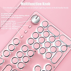 TISHLED Pink Typewriter Style Mechanical Gaming Keyboard White LED Backlit, 104-Key Anti-Ghosting Blue Switch Retro Steampunk Round Keycap Multifunction Knob Metal Panel Wired USB for PC, Mac, Laptop