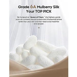 100% Pure Mulberry Silk Pillowcase for Hair & Skin - 22 Momme 6A High-Grade Fibers - Anti-Aging, Anti-Sleep Crease, Cooling Satin Pillowcases with Hidden Zipper, Best Gift Idea (Queen 20x30 Inches)