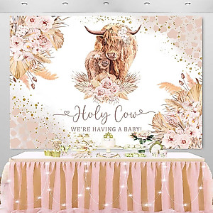 Ayayiya Boho Holy Cow Baby Shower Backdrop Highland Cow We are Having A Baby Bohemian Pink Floral Pampa Grass Photography Background Farm Animal Baby Shower Party Decorations Banner Supplies 5x3ft
