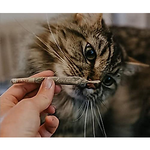Meowijuana | Get Higher Bundle | Get Higher Kite, King Size Catnip Joints, and Whisker Tickler | Promotes Play and Cat Health | Includes Organic Catnip | Feline and Cat Lover Approved