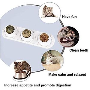 WoLover Catnip Wall Ball Toys – Rotatable Cat Snack Edible Balls with Natural Healthy Catnip | Silvervine | Gall Nut, Kitten Playing Chewing Cleaning Teeth Toy