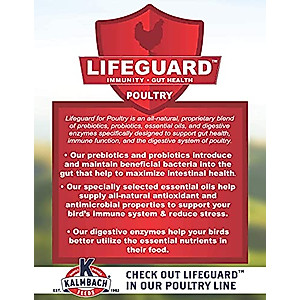 Kalmbach Feeds Henhouse Reserve Supplement Treat Block for Chickens, 20 lb