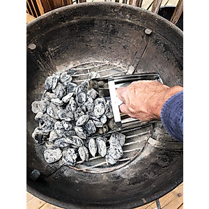 Walden Backyards Ash Scoop - Stainless Steel - Pellet and Coal Shovel - Fireplace and Fire Pit Cleaning Tool