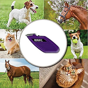 WAHL Professional Animal Pocket Pro Equine Compact Horse Trimmer and Grooming Kit, Purple (#9861-930)