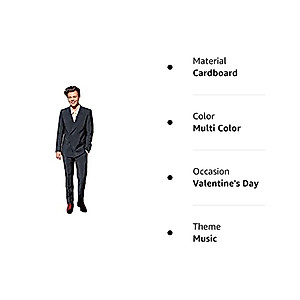 Harry Styles LIFESIZE Cardboard Standup Standee Cutout Poster Figure