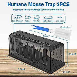 HiAnifri Mouse Trap， Humane Catch and Release Mice Trap Indoor Outdoor for Home No Kill, Mouse Traps Live Rat Traps Indoor for Home 3-mouse trap