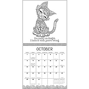 Calm the F*ck Down 2023 Coloring Wall Calendar: Irreverent Adult Coloring