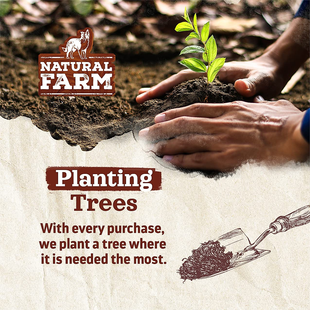 Natural Farm Odor-Free Thick Bully Sticks (6”, 18-pack) ALL-NATURAL Long-Lasting Dog Chews, 100% Beef Pizzle, Grass-Fed, Grain-Free, Protein for Muscle Development & Energy, Perfect For Medium Chewers