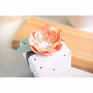 Sizzix Thinlits Die Set 8 Pack Tulip by Jennifer Ogborn, Multicolor