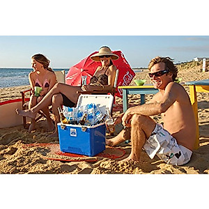 Techni Ice Standard 2 Ply Disposable/One to Two-time Use Dry Ice Replacement Sheets (10)