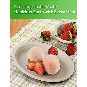 Teoox 100% Compostable Oval Plates Biodegradable Plates, BPI-Certified Eco Paper Plates, Bagasse Platter Plates, Recyclable Paper Plates, Sugarcane Plates (12.5 Inch - 40 Count)