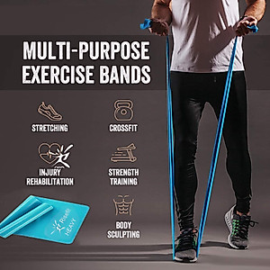 Therapy Flat Resistance Bands Set, Latex Free Flat Elastic Exercise Stretch Bands for Stretching, Flexibility, Pilates, Yoga, Ballet, Gymnastics, Rehab, Workout, Pink, Purple, Blue (3 Pack, 5 FT long)