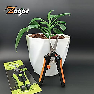 Zegos Bud Trimming Scissor 1 Pack with Stainless-Steel Straight Blades, Precision Pruning Shears, Hand Pruning Snips, Garden Scissors for Herb and Bud Trimming, Bonsai Cutting (1 Pack)