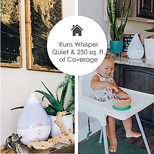 Crane Droplet Ultrasonic Small Air Humidifiers for Bedroom and Office, 0.5 Gallon Cool Mist Humidifier for Plants and Home, Humidifier Filters Optional, White