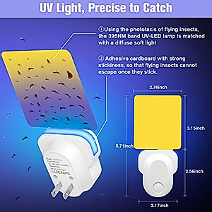 Electric Flying Insect Trap,UV Light Mosquito Trap Gnat Killer Indoor Night Light Plug in Bug Catcher Fruit Fly Traps 2023 Latest Upgrade Flying Insect Trap Plug in Gnat Traps for House Indoor 1 Pack