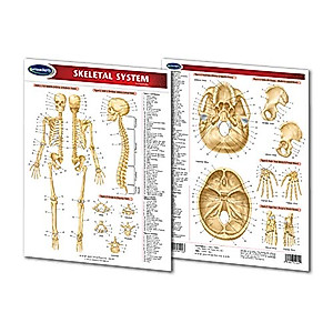 Permacharts Nursing, BSN, Registered Nursing Year 1 Curriculum Essential Quick Reference Guides - 20 Chart Bundle Medical Nursing Charts Bundle