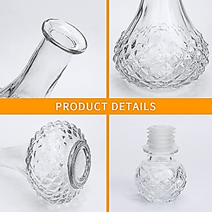 Cadamada Glass Bottles with Caps, 27 Oz Whisky Decanter , Delicate Decanter Set-for Tequila, Brandy, Scotch and Vodka, Gift Giving, Bar and Party Decoration (3pcs)