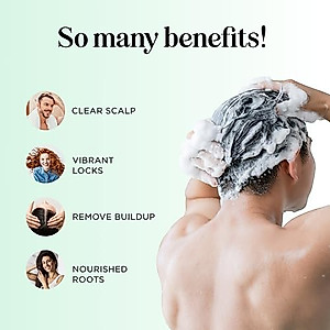 Clarifying Shampoo for Oily Hair and Scalp - Deep Cleansing Shampoo Build Up Remover with Rosemary Oil - Degrease Shampoo for Greasy Hair & Scalp - Vegan Color Safe Sulfate & Paraben Free (2 Pack)