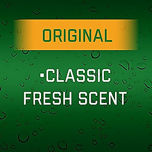 Irish Spring Body Wash, Original, 18 Fl Oz (Pack of 6)