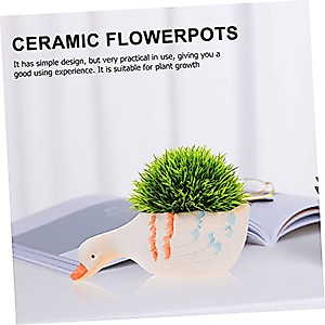 NUSITOU 4 pcs Pottery Pen Ceramic Decorative Creative Random Succulents Swan Home Succulent Animals Window Resin Figure Holder Pots for Planters Plant Bonsai Mini Flowerpot Animal