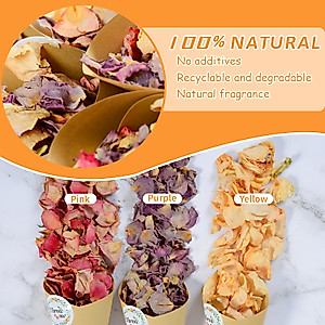 20+ Cups Real Rose Petals Biodegradable Wedding Flower Confetti, 2 QT Mixed Yellow Purple Pink Dried Roses Petals for Wedding Proposal Bath Valentine's Day Party Flower Girl