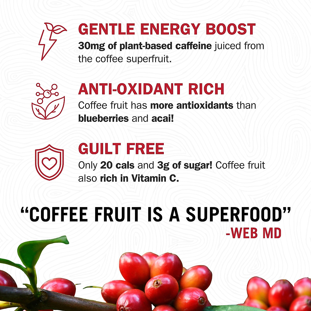 The Other Side of Coffee – Upcycled Coffee Fruit Juice Drink, Non-Carbonated, Antioxidant Rich, Low Caffeine (30mg), Low Calorie, Low Sugar, 100% Natural, 12 Fl Oz, Berry Flavor (Pack of 12)