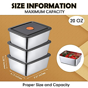 Layhit 10 Set 304 Stainless Steel Food Containers with Lids 20 oz Metal Marinating Snack Containers Box for Lunch, Leftovers, Dishwasher & Freezer Safe