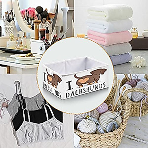 RunningBear Dachshund Dog Storage Basket Storage Bin Square Collapsible Toy Bins Decorative Storage Boxes Organizer for Clothes Towels Magazine