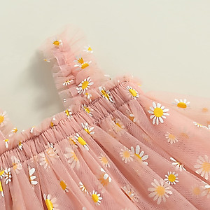 Toddler Baby Girl Daisy Tulle Dress Infant Sleeveless Layered Tutu Dress Pink 6-12 Months